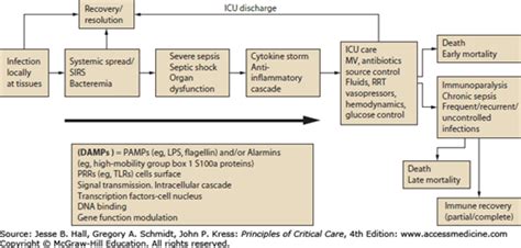 Sepsis And Immunoparalysis Anesthesia Key