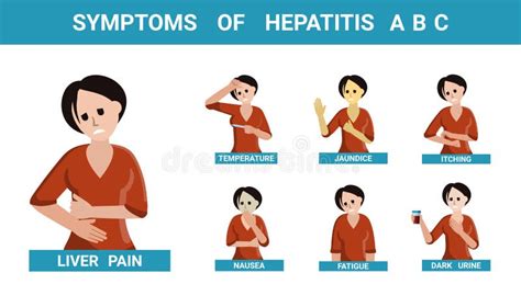 Hepatitis B Symptoms In Women