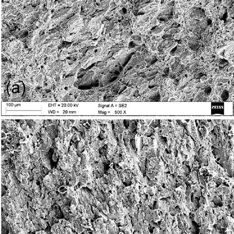 Sem Micrographs Of The Fracture Surface Of The Test Joint Produced At