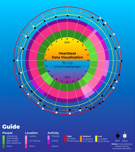data visualization lily unterhaslberger