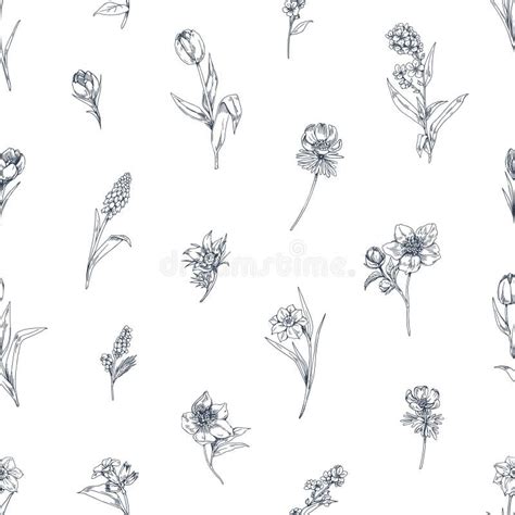 Engraved Flowers Pattern Botanical Repeating Print Vintage Outlined