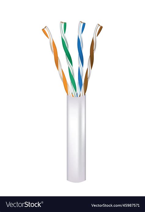 Utp Cable With Wires Royalty Free Vector Image
