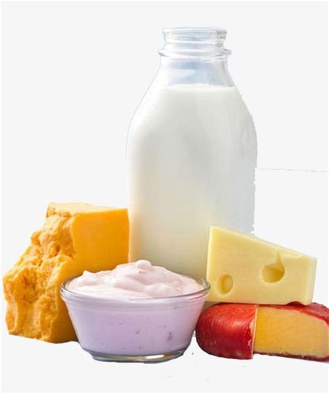 우유 요구르트 치즈 버터 우유 치즈 제품의 종류 Png 일러스트 및 이미지 에 대한 무료 다운로드 Pngtree Food Sensitivities Most