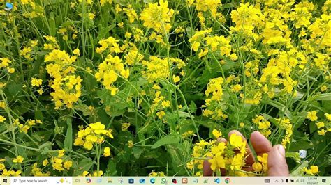 Navbar Drop Down Link Copy Youtube