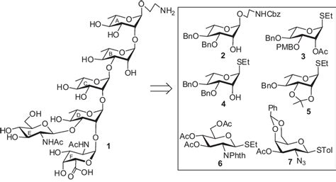 Structure Of The Hexasaccharide Repeating Unit Corresponding To The Download Scientific Diagram