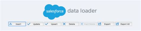 Complete Salesforce Data Loader Guide Apex Hours