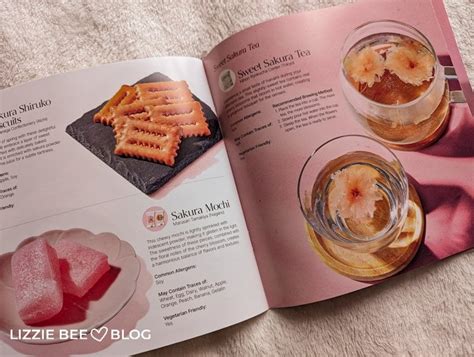 Sakuraco Review ♡ Japanese Snacks Candy Hello Lizzie Bee