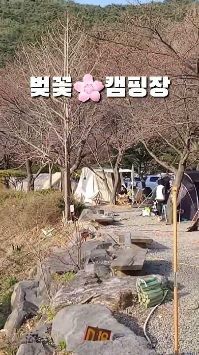 벚꽃캠핑장 추천 스타렉스캠핑카 차박서울근교캠핑장 성일캠핑렌트카 차박 차박캠핑카 캠핑카렌트 Youtube