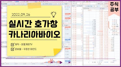 주식ㅣ실시간 호가창ㅣ20220926 카나리아바이오 Youtube