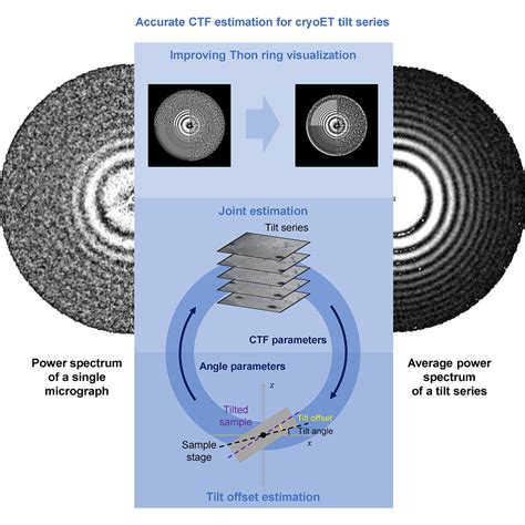 Biological Structure And Imaging