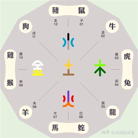 12时辰与五行及生肖的关系 知乎