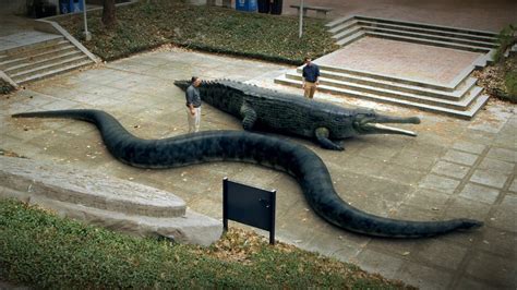 Titanoboa Paleontology Wiki Fandom