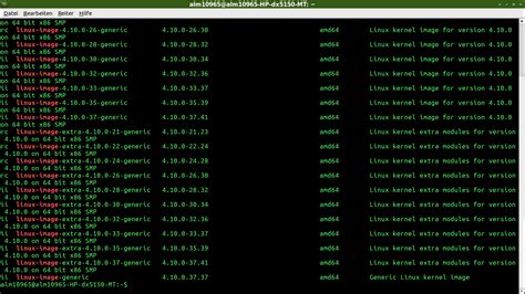 LInuxkernel Und Bootpartition Alm10965