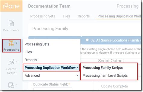 Processing Duplication Workflow