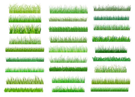 Premium Vector Large Set Of Fresh Green Spring Grass Borders In
