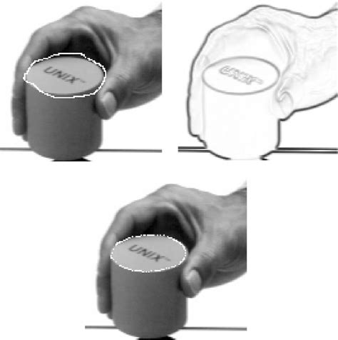 Figure 1 From Self Organizing Neural Networks Based On Spatial