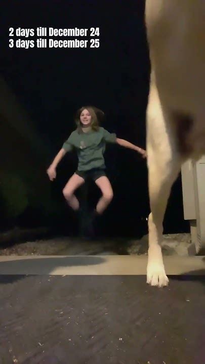 Im So Excuted Youtube