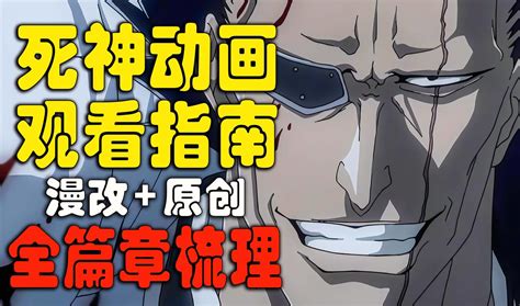 【死神】如何正确入坑？bleach动画观看顺序全篇章梳理（漫改原创千年 哔哩哔哩
