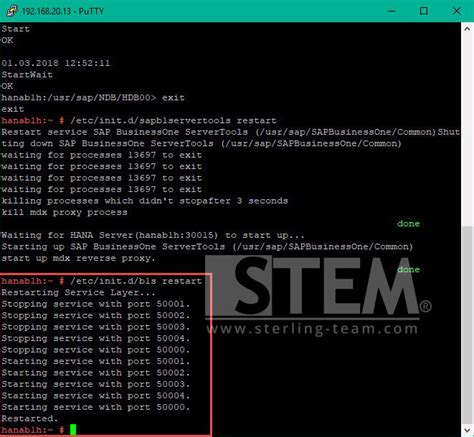 Restart Sap Hana Service On Suse Linux Sap Business One