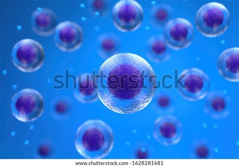20 Cell Smallest Unit Life Royalty Free Photos And Stock Images