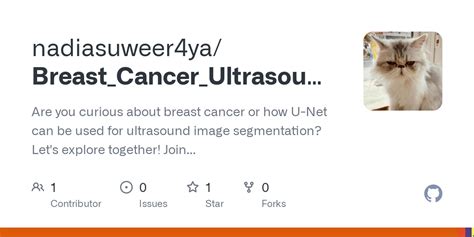 Github Nadiasuweer4yabreastcancerultrasoundimagesegmentationusingu Net Are You Curious