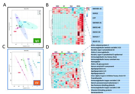 Mass Spectrometry Proteomic Analysis Of Evs And Purified Igg Antibodies Download Scientific