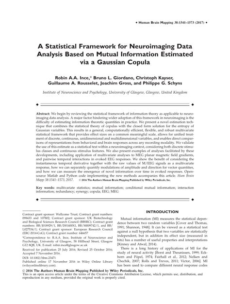 Pdf A Statistical Framework For Neuroimaging Data Analysis Based On Mutual Information
