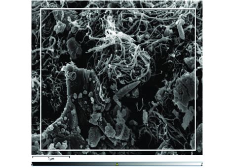Sem Image Of Biochar Obtained From Rice Straw Download Scientific Diagram