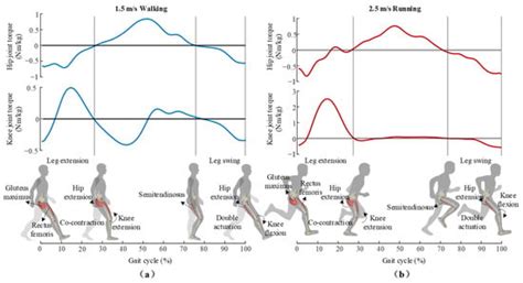 Modulating Multiarticular Energy During Human Walking And Running With
