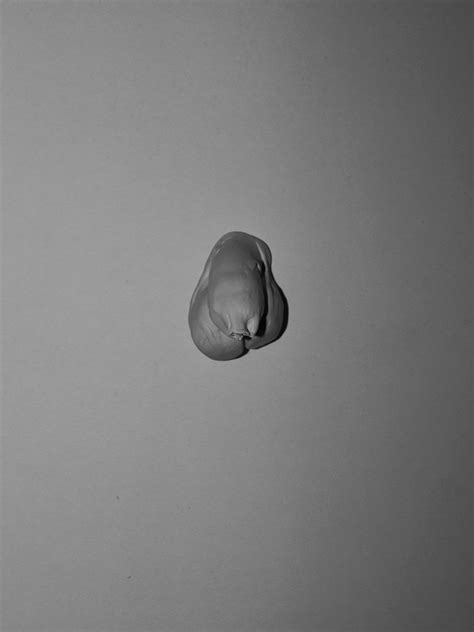 Flaccid Sex N Flaccid Sex Collection Etsy