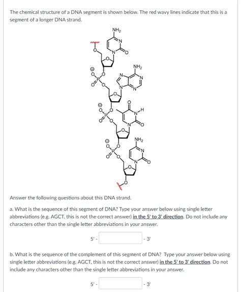 Solved The Chemical Structure Of A Dna Segment Is Shown
