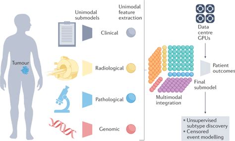 Multimodal Biomedical Ai Acms Academia De Ciencias Médicas De Santa Fe