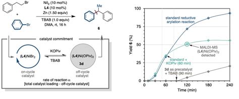 Understanding Electron Transfer Events In Nickel Catalysis Research