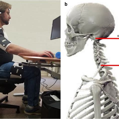 The Motion Monitor Composite Skeleton A Digitized Points For Download Scientific Diagram