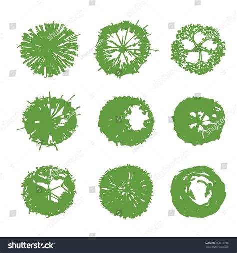 Set Tree Plan Landscape Design Abstract Stock Illustration 663816736 Shutterstock