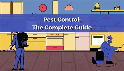 Top 5 Pest Control Tips Complete Guide For Pest Control