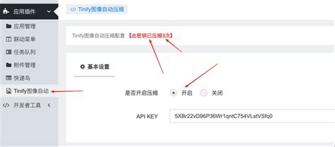 Tinify图像自动压缩的使用说明文档教程