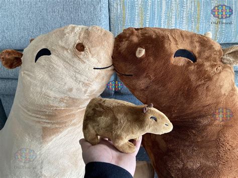 Handmade Adorable Giant Capybara Plush Toyskawaii Capybara Etsy