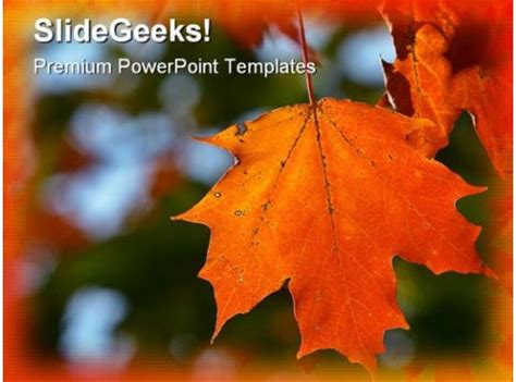 Autumn Maple Leaf Nature PowerPoint Template Templates PowerPoint Slides PPT