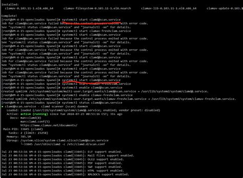 病毒扫描安装启动报错 Panel 社区论坛 FIT CLOUD 飞致云