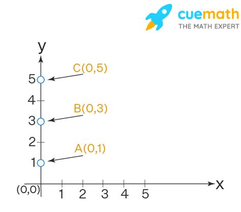 The Y Coordinate Of Any Point Lying On The X Axis Will Be Zero Is The Given Statement True Or False