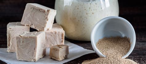 Yeast Performance Testing Genutre