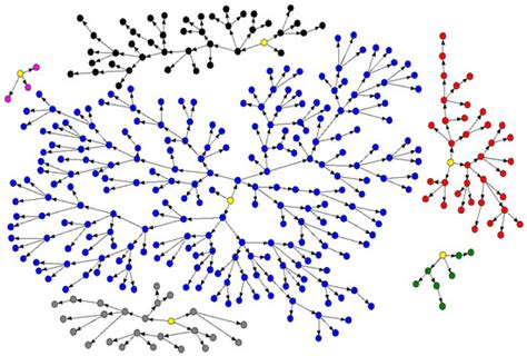 Social Experiences Discrimination And Violence Among Men Who Have Sex