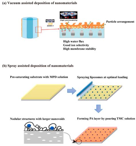 Membranes Free Full Text Forward Osmosis Membranes The Significant Roles Of Selective Layer