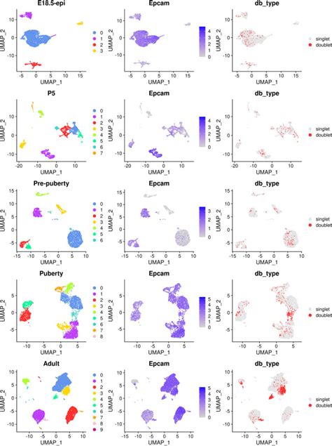 Unraveling The Timeline Of Gene Expression A Pseudotemporal Trajectory