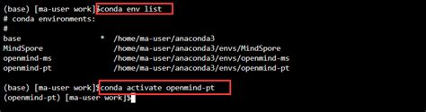 Zhouhuiopenmind 第二周任务2：基于openmind与910b算力适配跑通tsdae Lemone Mbert Base