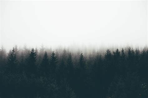Insert Into Binary Search Tree
