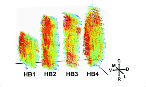 Three Dimensional Representation Of The Spatial Distribution Of