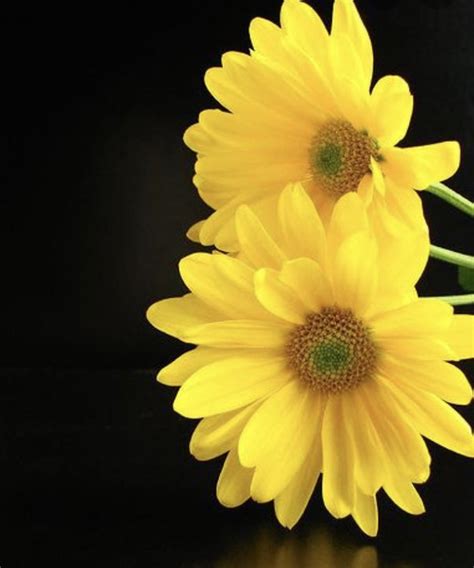 What Is The Nth Term Of The Sequence 2 4 6 8 16 And 32 Quora