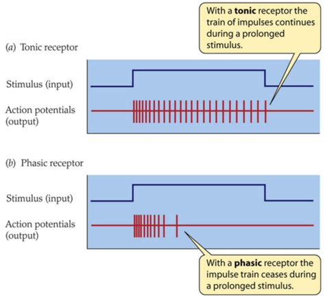 CVP Exam 3 Flashcards Quizlet